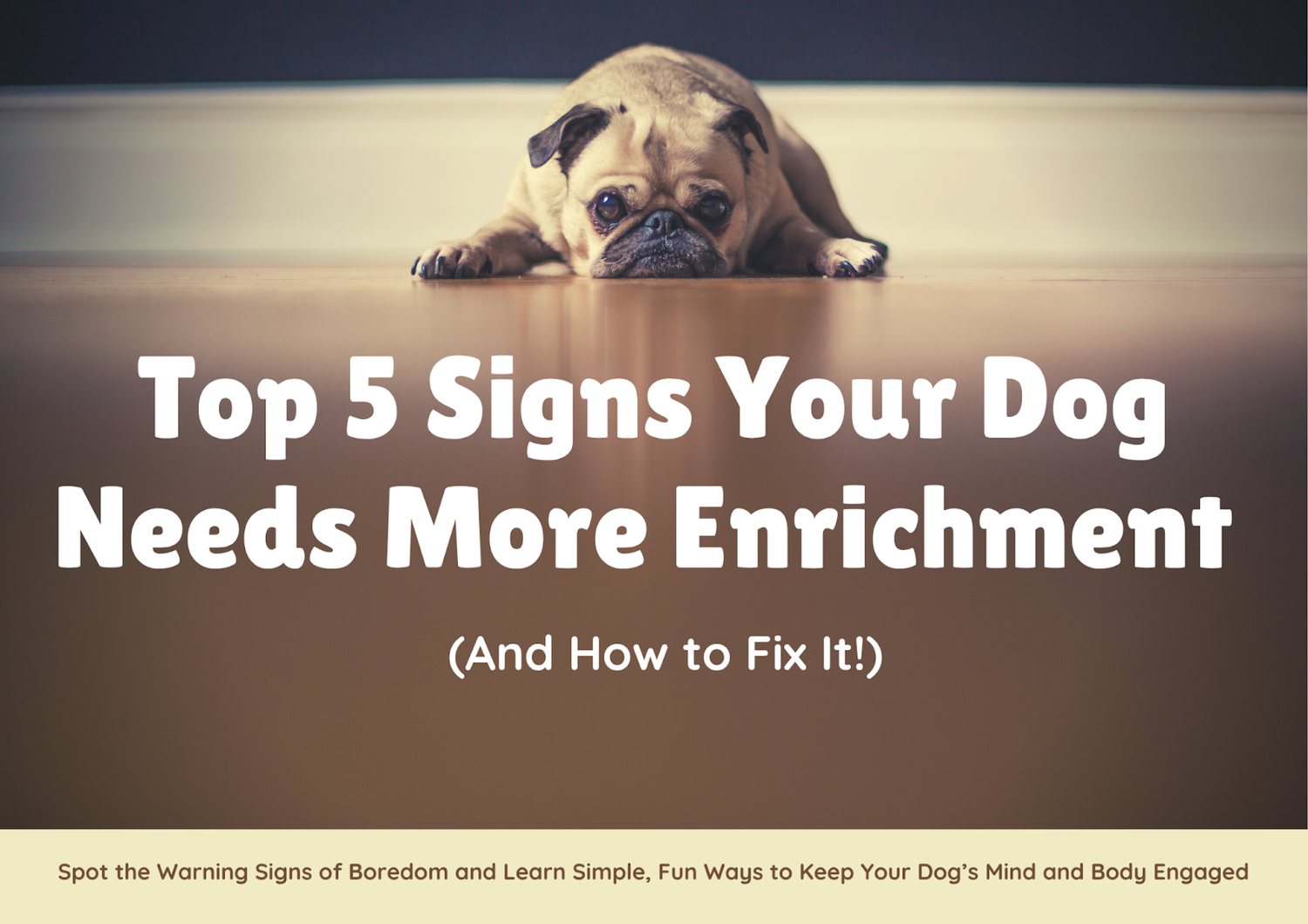 Blog: Top 5 Signs Your Dog Needs More Enrichment - Pawzndogz – PawzNDogz®