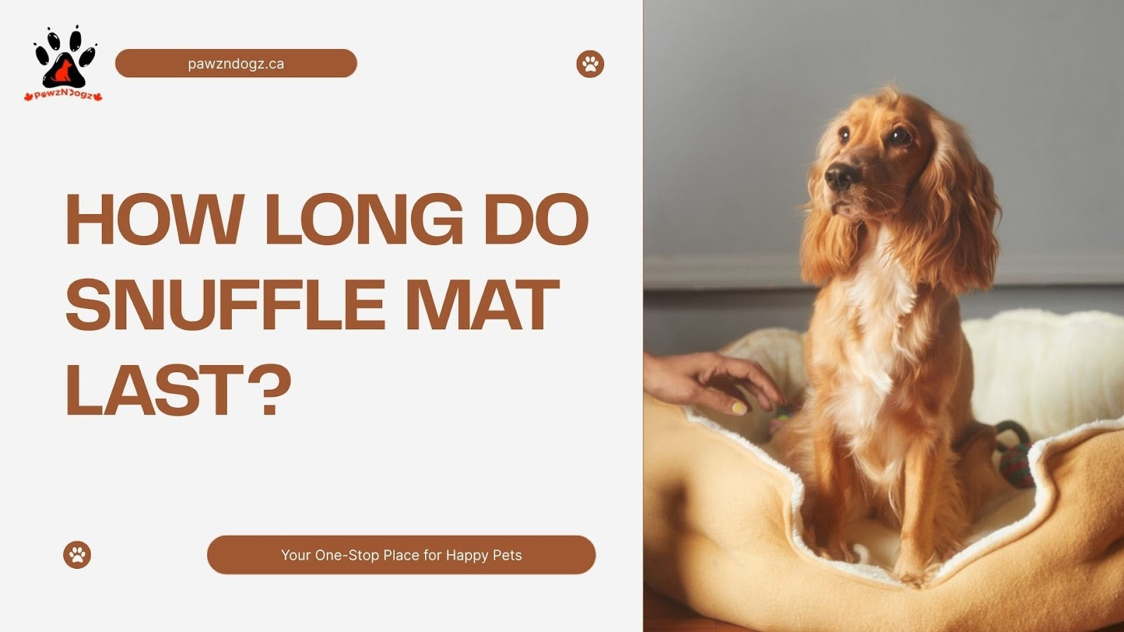 How Long Do Snuffle Mats Last? Quality and Safety Explained – PawzNDogz®