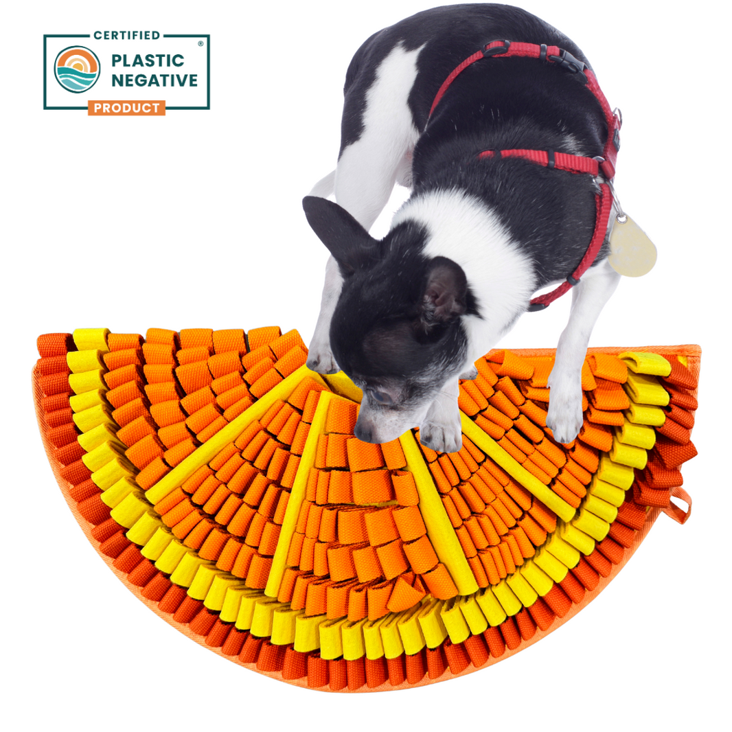 Most Durable and Stimulating Snuffle Mats for Dogs – PawzNDogz®