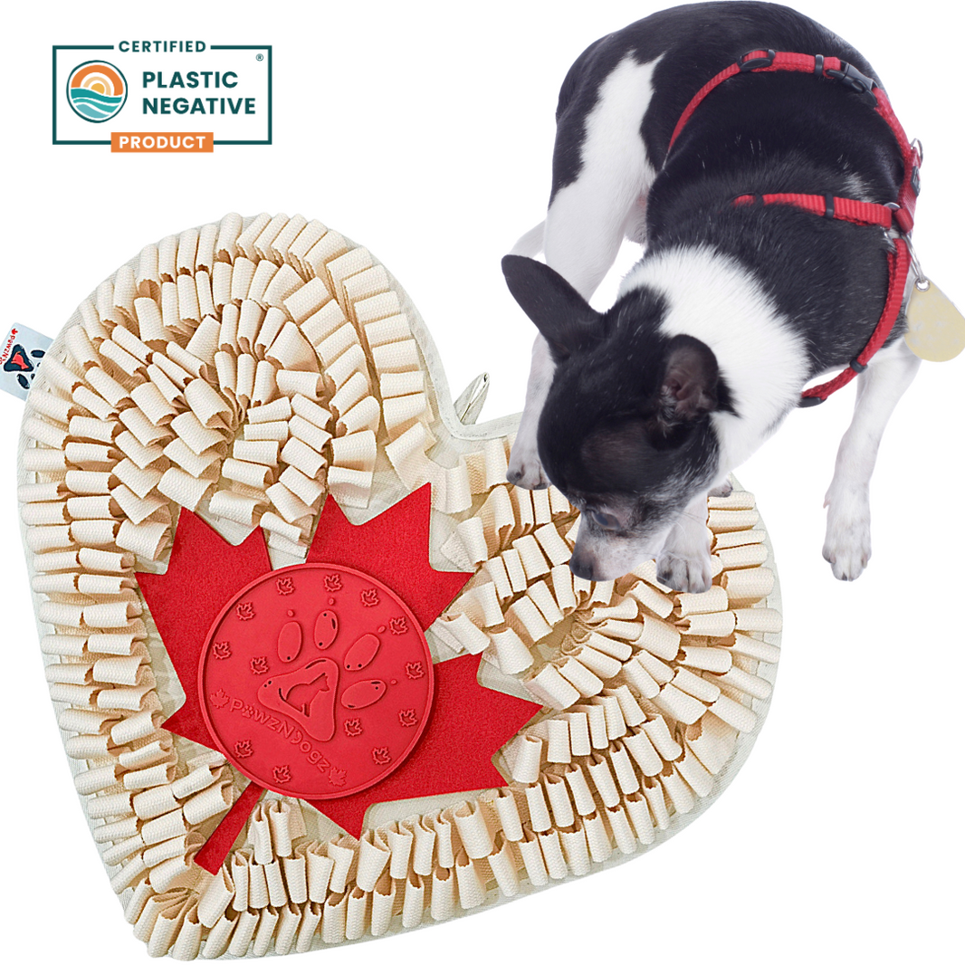 Most Durable and Stimulating Snuffle Mats for Dogs – PawzNDogz®
